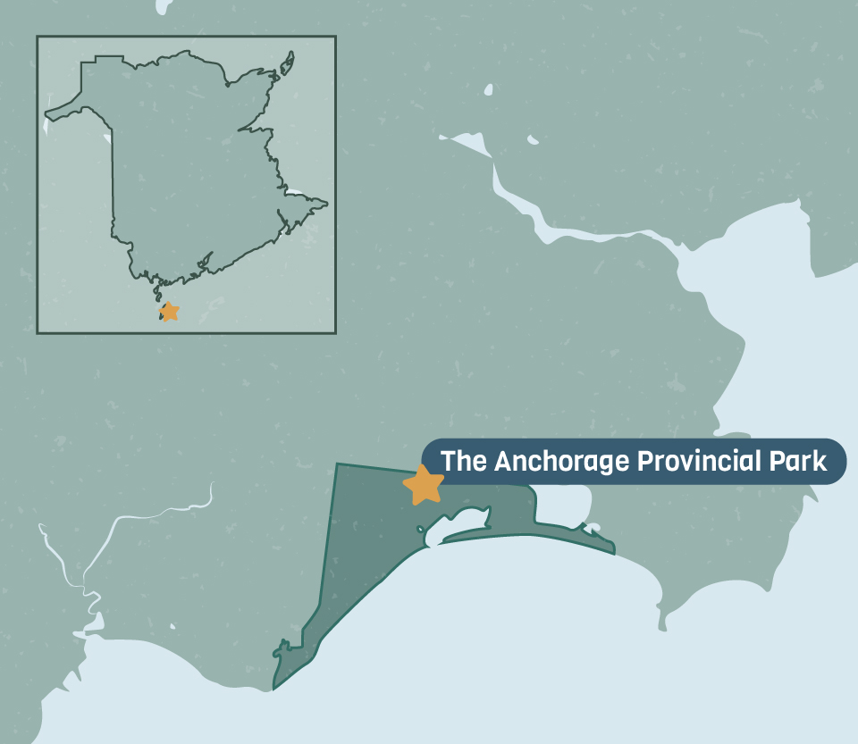 The Anchorage Provincial Park | Parks | Explore New Brunswick's ...